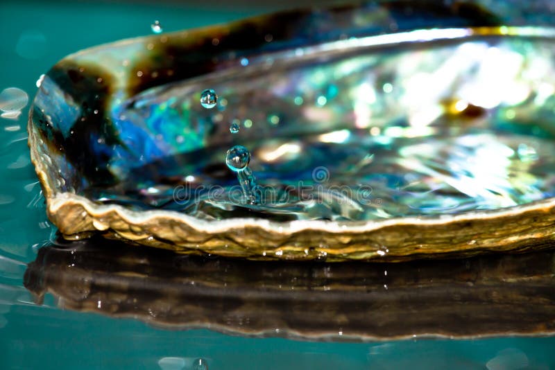 Maori Graphic Stock Photos - Free & Royalty-Free Stock Photos from ...