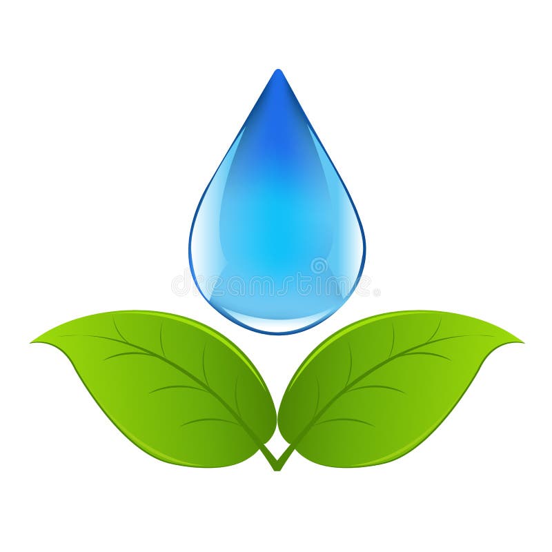 Drop of Water with Sprout stock vector. Illustration of shiny - 195621028