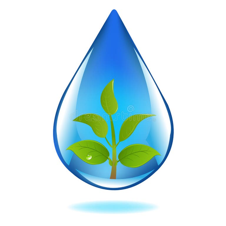 Transparent Sprout Stock Illustrations – 4,031 Transparent Sprout Stock ...