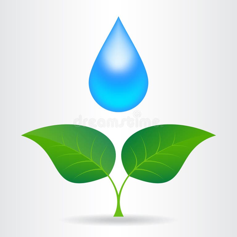 Drop of water with sprout. stock vector. Illustration of sprout - 80420802