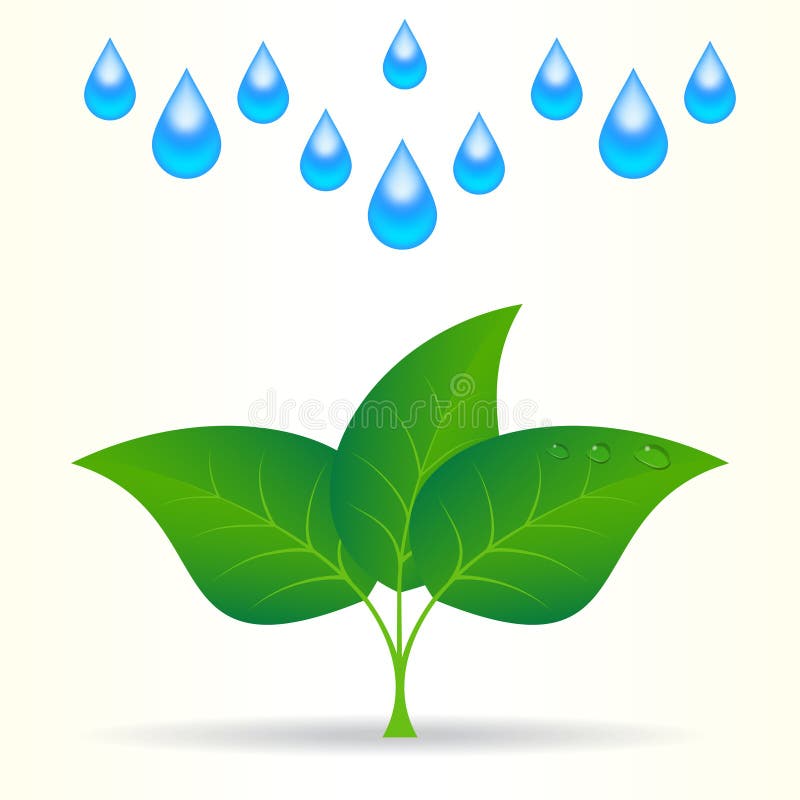 Drop of water with sprout. stock vector. Illustration of environment ...
