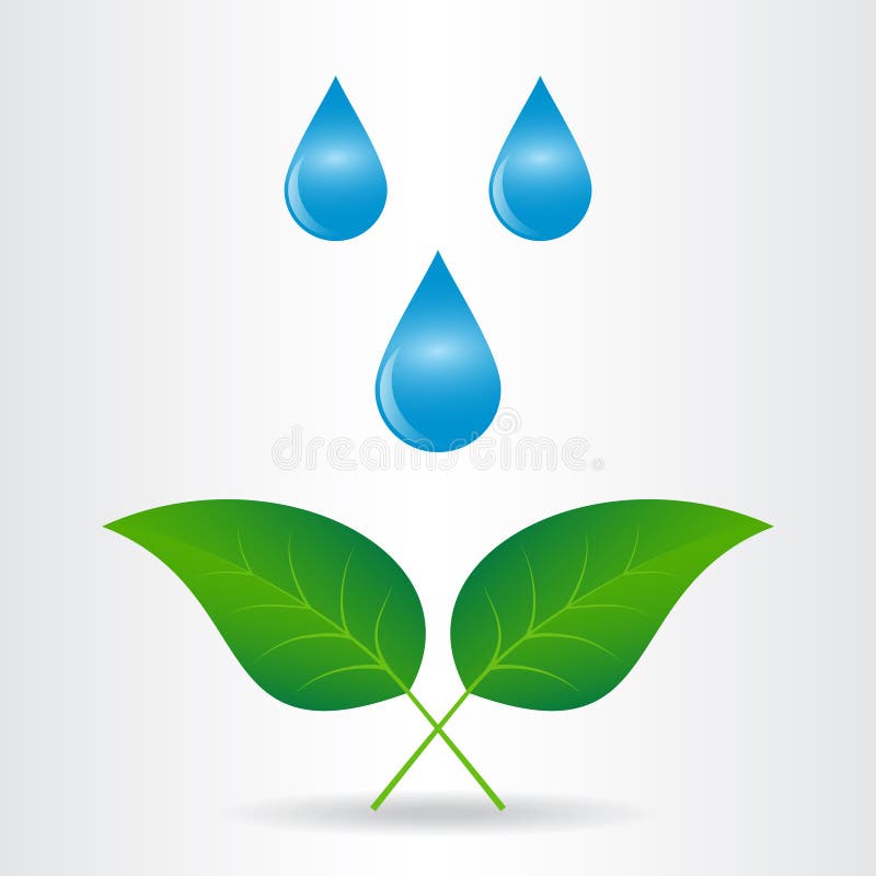 Drop of water with sprout. stock vector. Illustration of agriculture ...