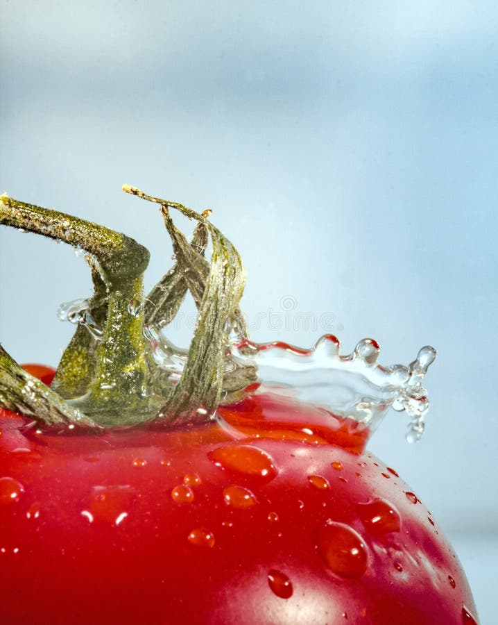 Drop of water and tomato stock image. Image of green - 71985357