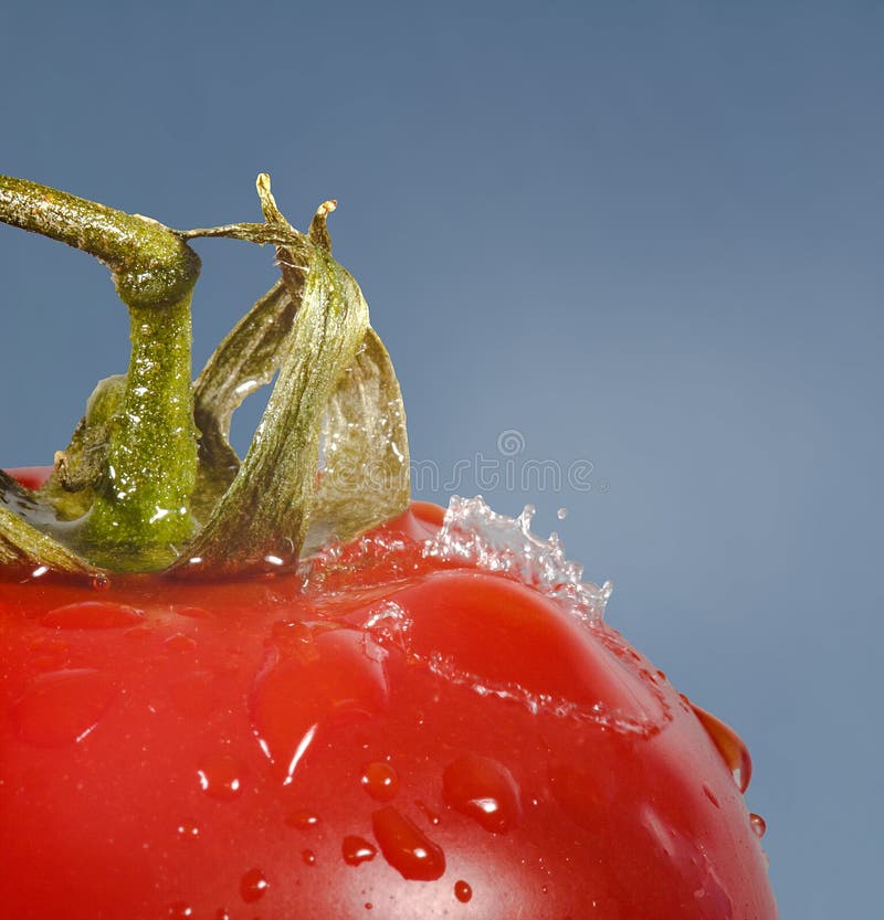 Drop of water and tomato stock image. Image of juicy - 71985651