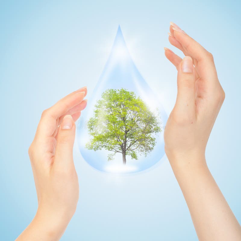 Drop of Water with Tree Inside and Hands Stock Photo - Image of liquid ...