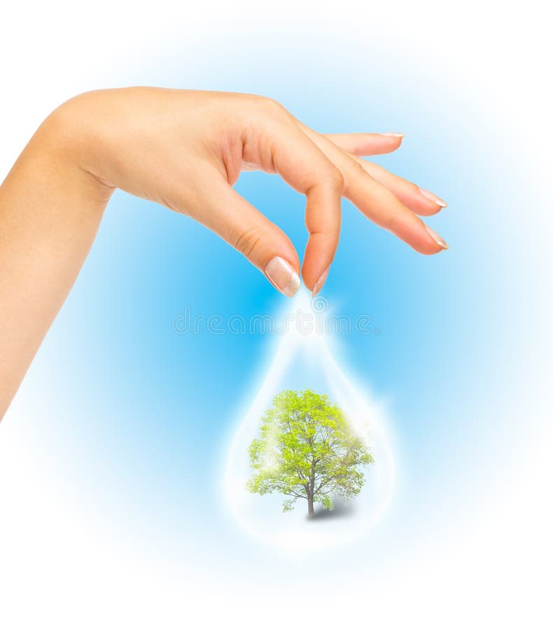 Drop of Water with Tree Inside and Human Hand Stock Photo - Image of ...