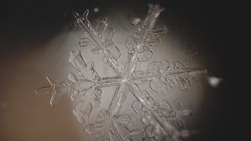 A Drop of Water Turns into a Snowflake. Fixation of a Natural Process ...