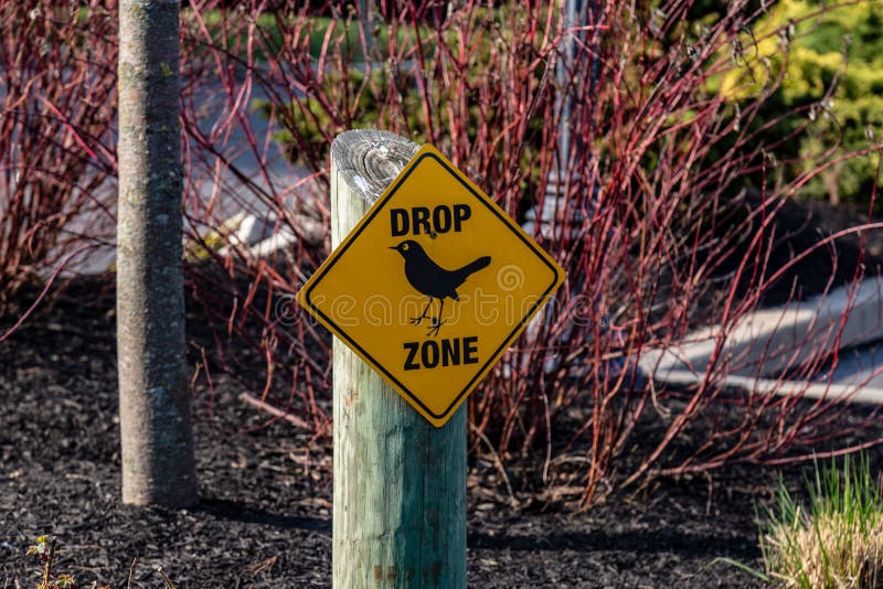 Drop zone. stock photo. Image of beautiful, drop, meadow - 34101822