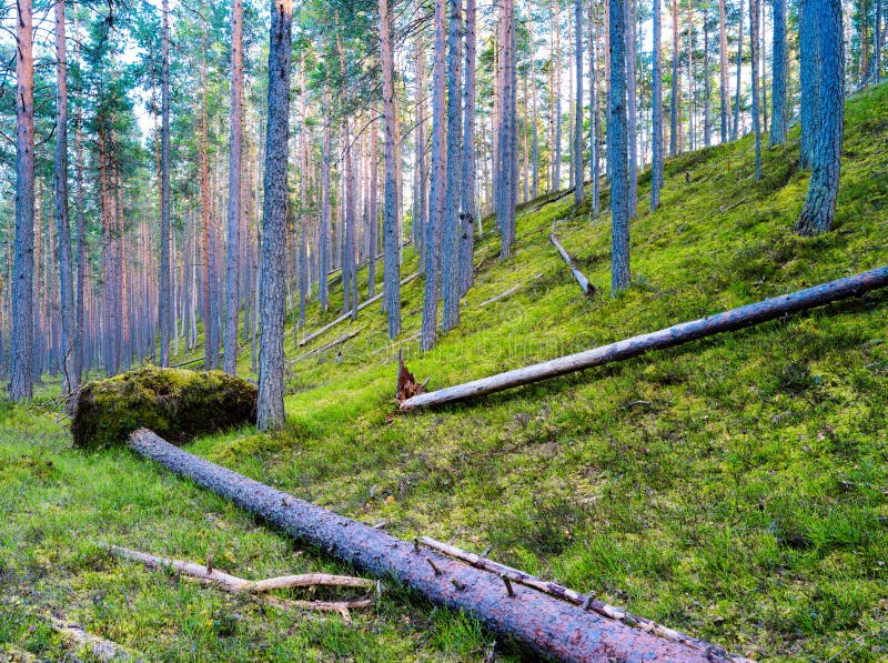 Vivid Landscape from Italian Alps Stock Photo - Image of wadi, badlands ...