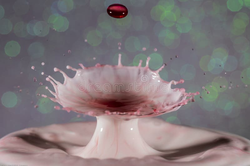 Droplet Photography: a Red Drop Falling into the White Liquid Stock ...