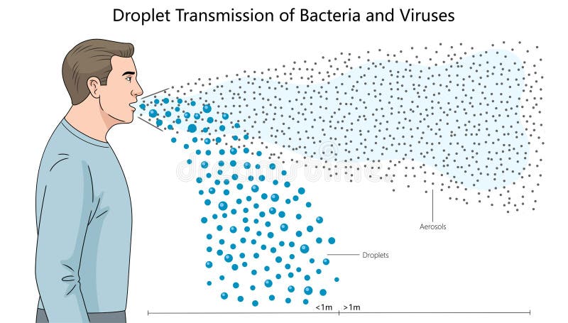 Droplet Transmission of Bacteria and Viruses Stock Illustration ... Droplet Transmission of Bacteria and Viruses Stock Illustration ...