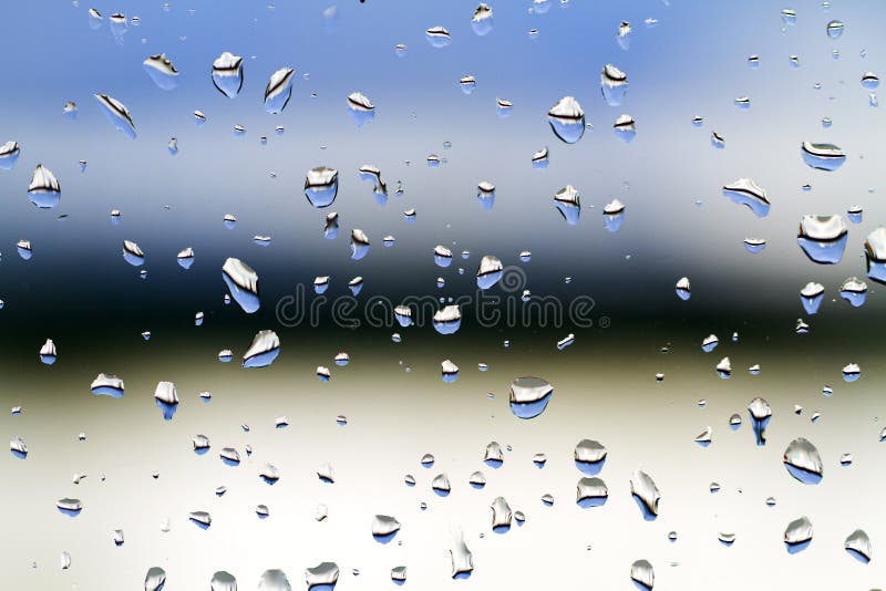 Rain stock photo. Image of freshness, plant, raindrop - 6582490