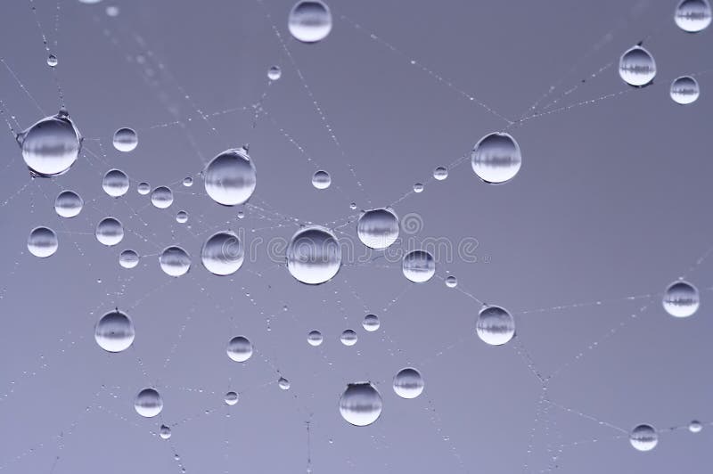 Droplets on the cobweb stock image. Image of drop, fleece - 10969653