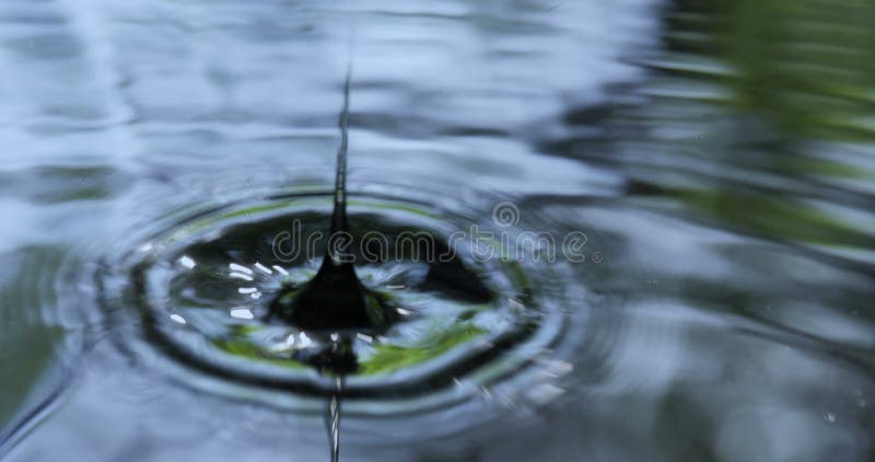 Droplets Fall into Water stock footage. Video of level - 64304042