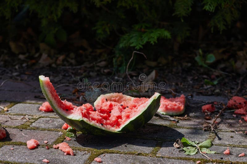 Dropped Watermelon on the Ground Stock Photo - Image of smash, drop ...