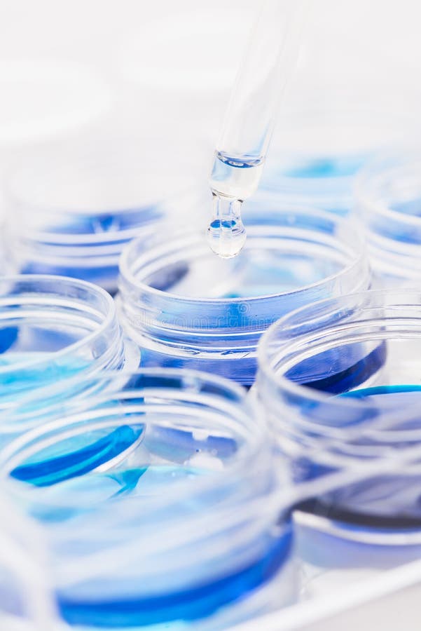 Laboratory Glassware in Laboratory Stock Image - Image of experiment ...