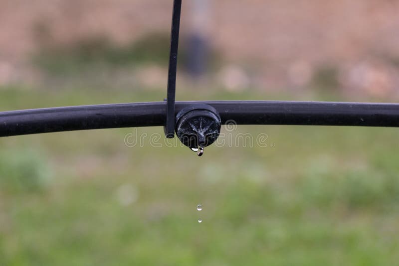 139 Dropper Pipe Stock Photos - Free & Royalty-Free Stock Photos from ...