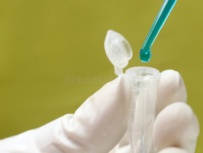 Dropping Chemical in a Sample Tube Stock Image - Image of laboratory ...