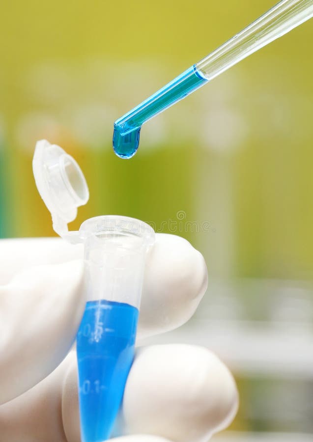 Dropping Chemical in a Sample Tube Stock Photo - Image of glove ...