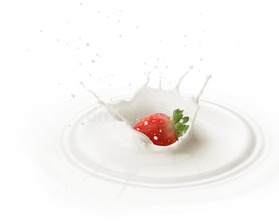 Dropping Strawberry into Milk Stock Photo - Image of splash, milk: 10644786