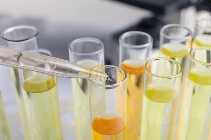 Dropping Urine Sample for Analysis into Tube, Closeup Stock Photo ...