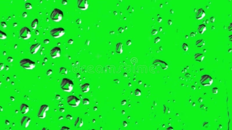 Dropping Water Droplets on a Green Screen Background Perfect for Rain ...