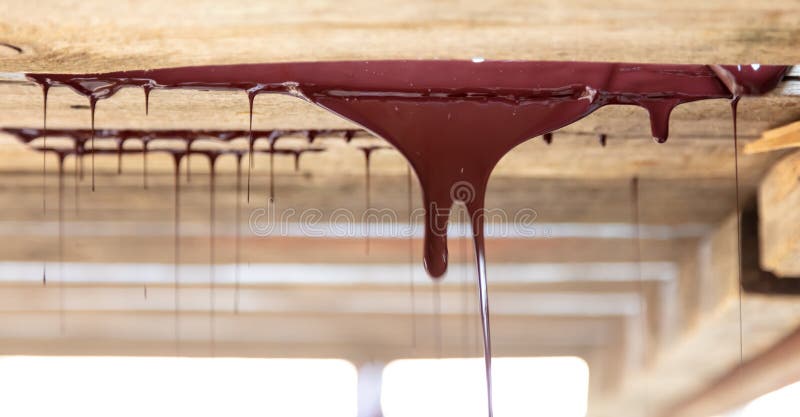 Drops of Brown Paint Dripping from the Wooden Ceiling Stock Photo ...