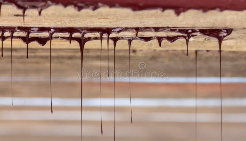 659 Dripping Paint Brown Stock Photos - Free & Royalty-Free Stock ...