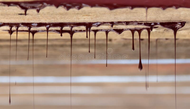 Drops of Red Paint on a White Background. Stock Image - Image of ...