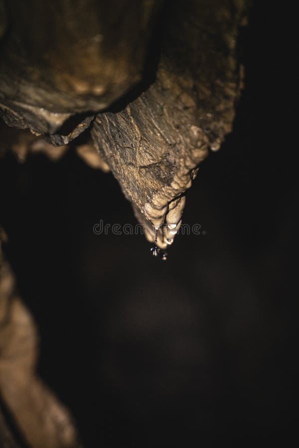 Drops in the cave stock image. Image of live, caves - 220058713