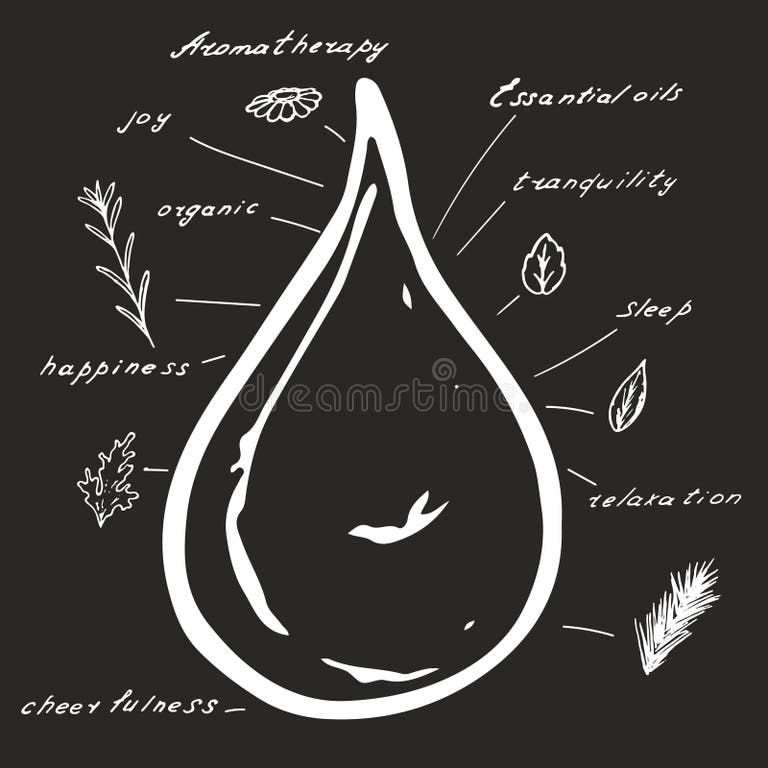 Essential Oil Green Plants Stock Illustrations – 182 Essential Oil ...