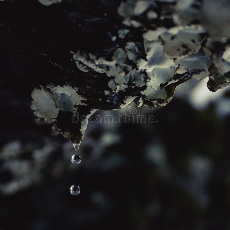Drops Fall from the Stone in the Cave Stock Image - Image of monochrome ...