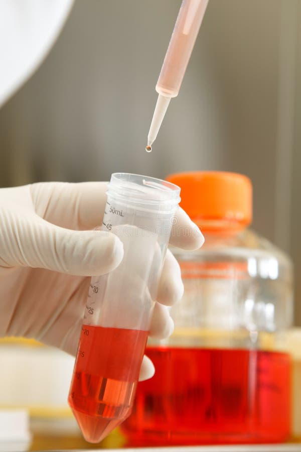 Drops falling pipette. stock image. Image of chemical - 51634637