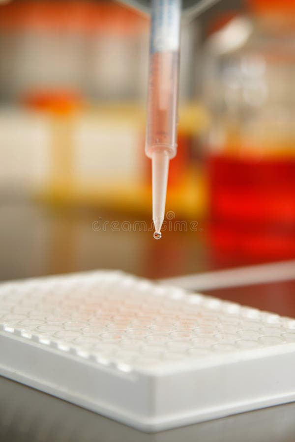 Drops falling pipette. stock photo. Image of laboratory - 51634682