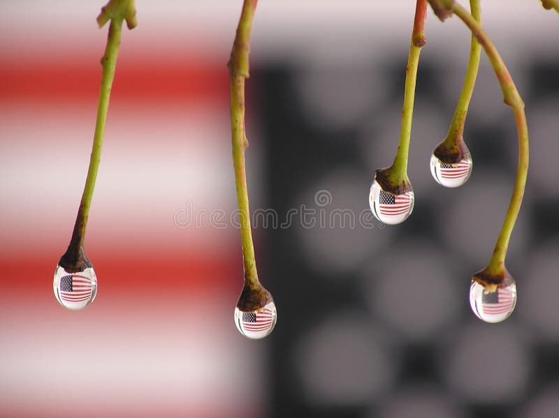 Drops and Flag stock photo. Image of colors, american - 1362688