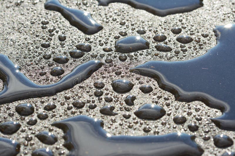 Drops on Fresh Asphalt, Oil Stock Photo - Image of clean, clear: 6688820