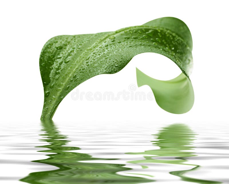 Green Plant, Reflection in Water Stock Photo - Image of color ...