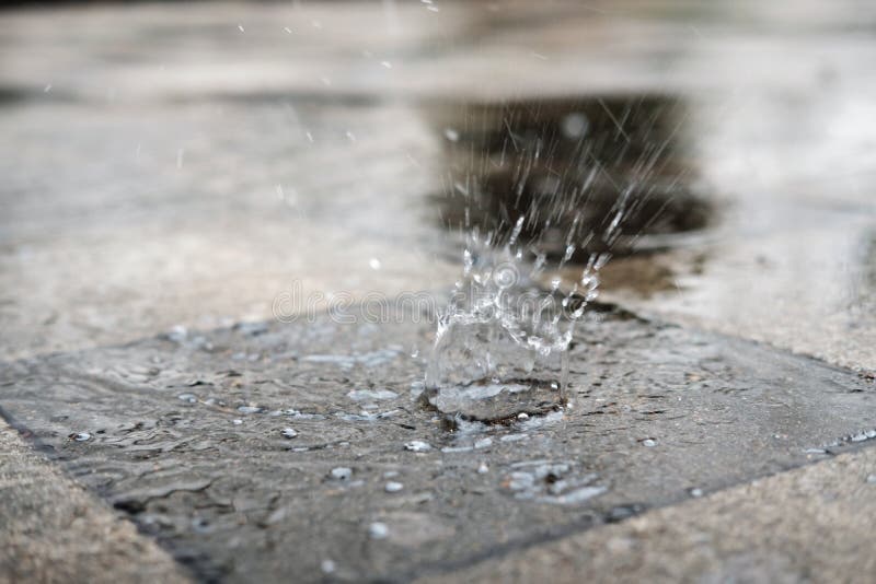 Drops of Heavy Rain on the Pavement Stock Image - Image of park ...