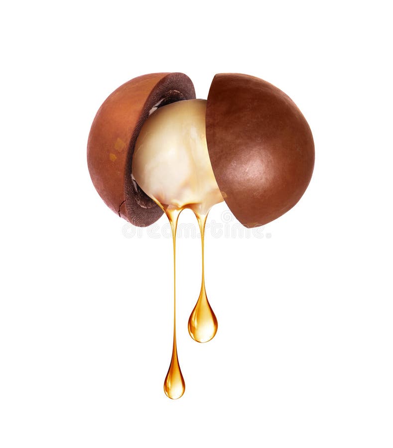 Oil Leak Shell Stock Photos - Free & Royalty-Free Stock Photos from ...