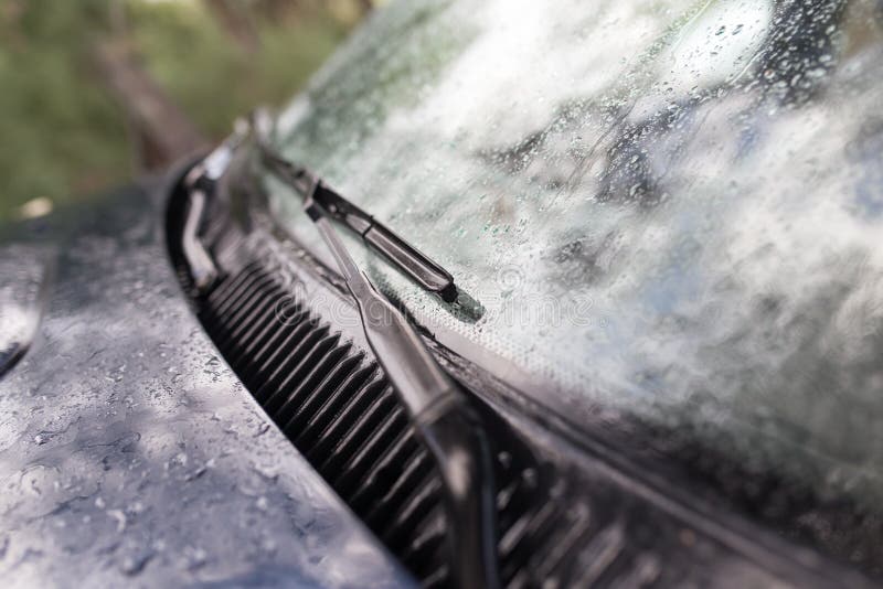 Drops after rain on a car stock photo. Image of white - 105647144