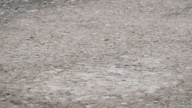 Drops of Rain Fall To the Pavement Forming a Puddle Stock Footage ...