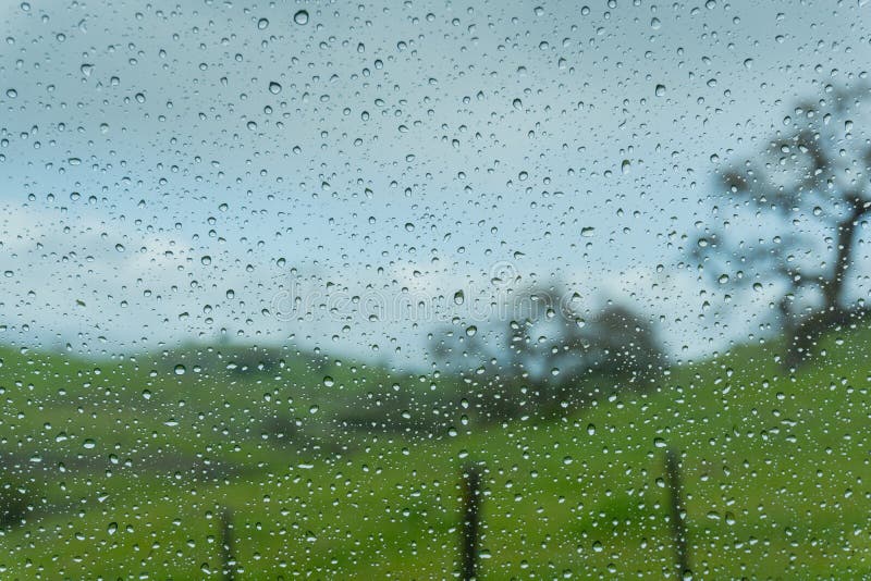 Drops of Rain on the Window; Blurred Green Meadows in the Background ...