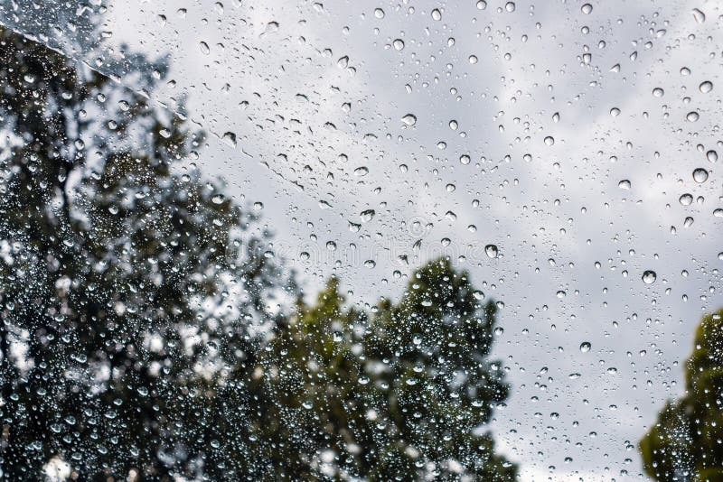 Drops of Rain on the Window; Blurred Trees in the Background Stock ...