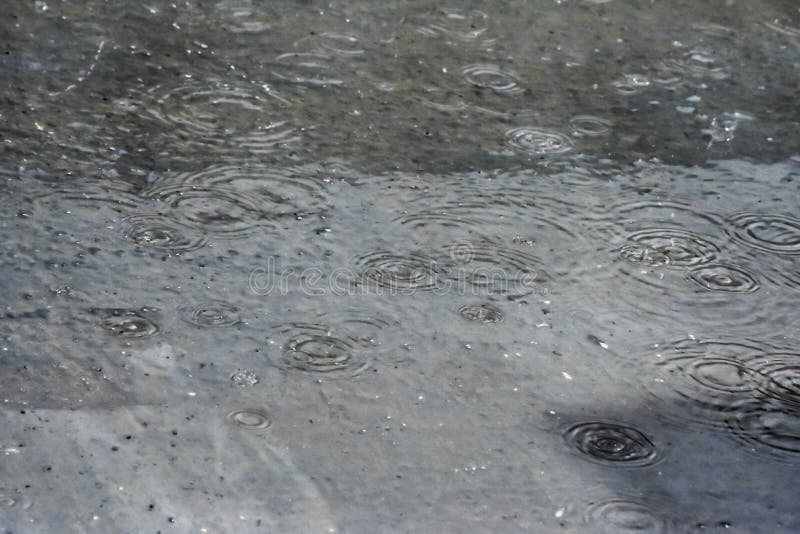 Drops of a rainy day stock photo. Image of sunset, rain - 267644416