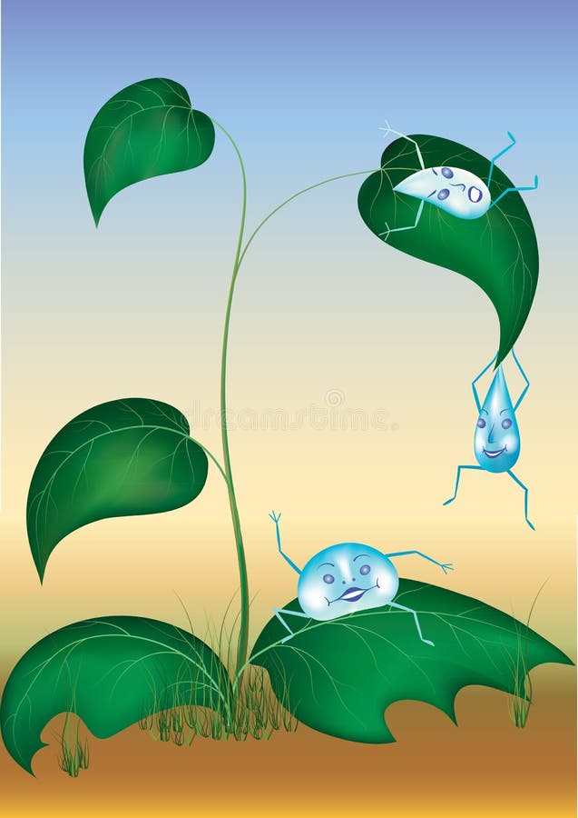 Vector Drawing Comic Water Droplets Roll Stock Illustrations – 1 Vector ...
