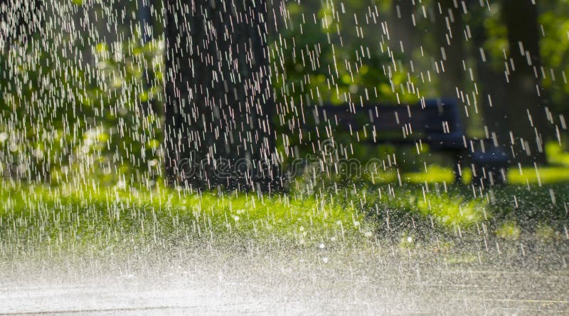 Rain Is Falling On Fresh Green Grass Stock Image - Image of climate ...