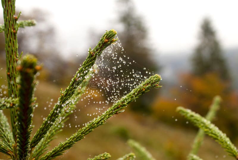 1,277 Water Droplet Europe Stock Photos - Free & Royalty-Free Stock ...