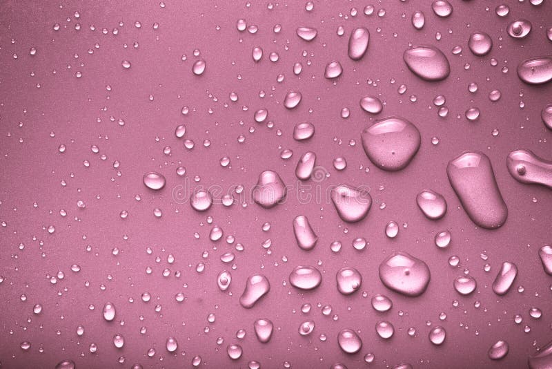Drops of Water on a Color Background. Pink Stock Photo - Image of ...