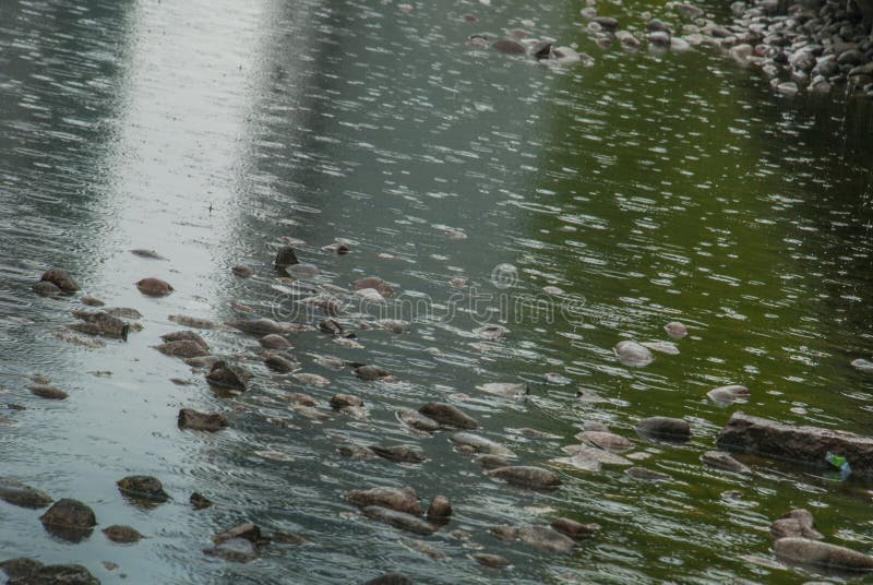 Drops of Water Fall on Surface of River during Rain Stock Image - Image ...