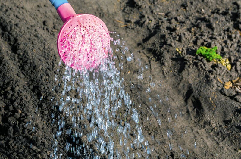 Watering a dry ground stock image. Image of sprinkle - 13403003
